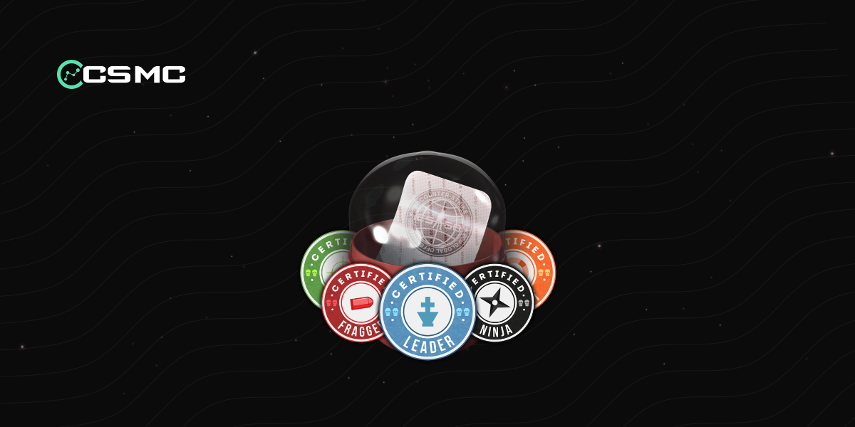 All CS2 Team Roles Capsule Items